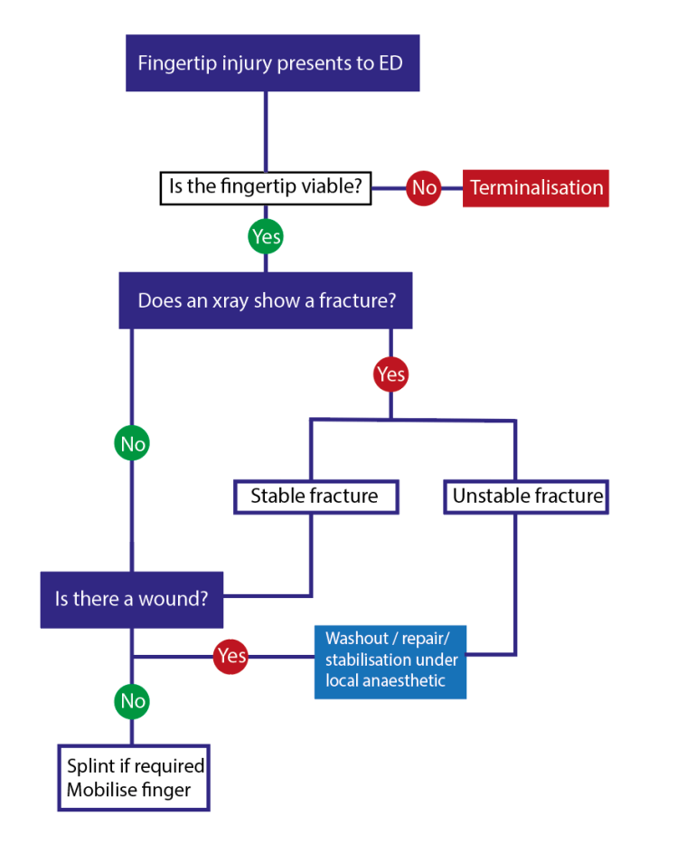 Fingertip Injuries – Fife Virtual Hand Clinic